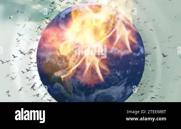 Burning birds Stock Videos & Footage - HD and 4K Video Clips - Alamy