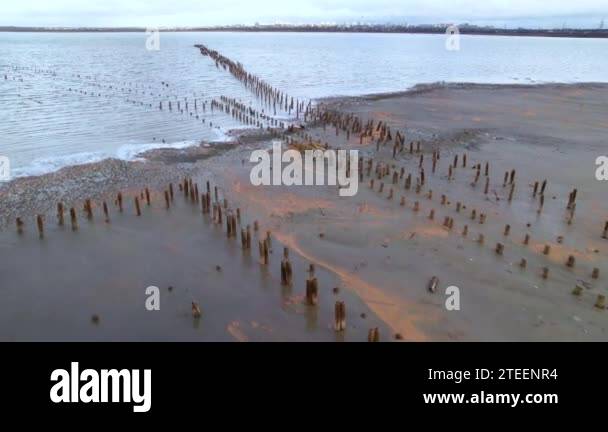 Aerial view. Artemia crustacean eggs on the shore, Kuyalnik estuary ...
