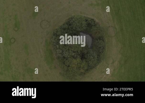 Gyrocopter topdown drone rising shot above circular tree as gyro enters ...
