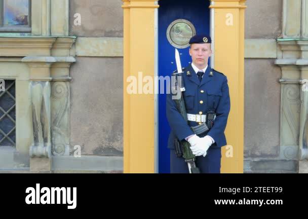 Guarding the house Stock Videos & Footage - HD and 4K Video Clips - Alamy