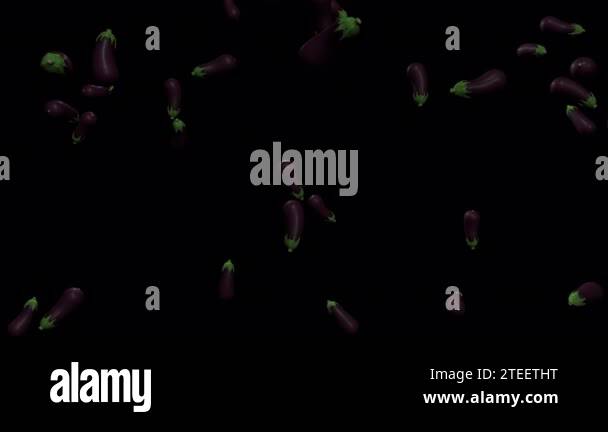 Eggplant falling animation with transparent (alpha) background Stock ...