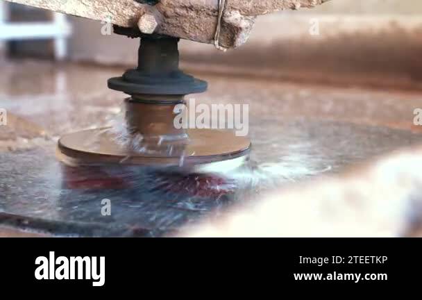 Polishing extinct ammonites nautilus fossil animal shell in stone wall ...