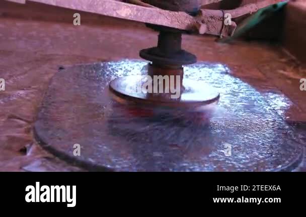 Polishing extinct ammonites nautilus fossil animal shell in stone wall ...