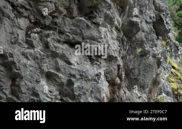 Creepy dark rough rock surface. Wet prehistoric grotto. Stone natural ...