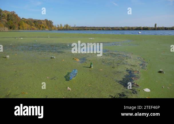 Litter on the lake surface. Water pollution with plastic bottles ...