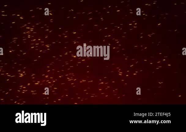 Glowing flying ember, burning ash particles. Hot fire sparks with ...