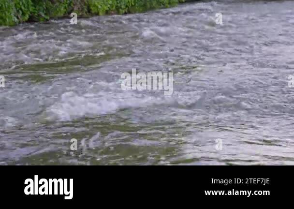 the flowing water of a summer river with a small rapid waterfall and ...