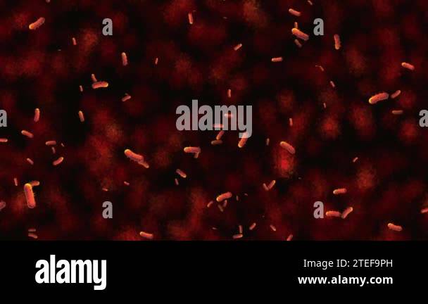 Bacteria Micro Organisms Background animation Stock Video Footage - Alamy