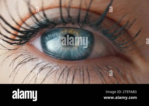 Opening and blinking female eye with a blue iris and long lashes ...