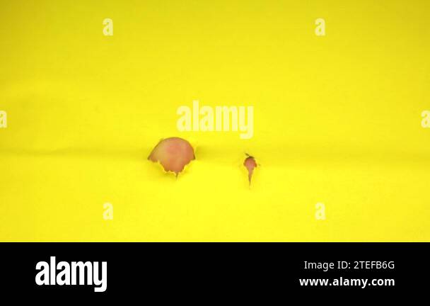 Hand puppet paper Stock Videos & Footage - HD and 4K Video Clips - Alamy