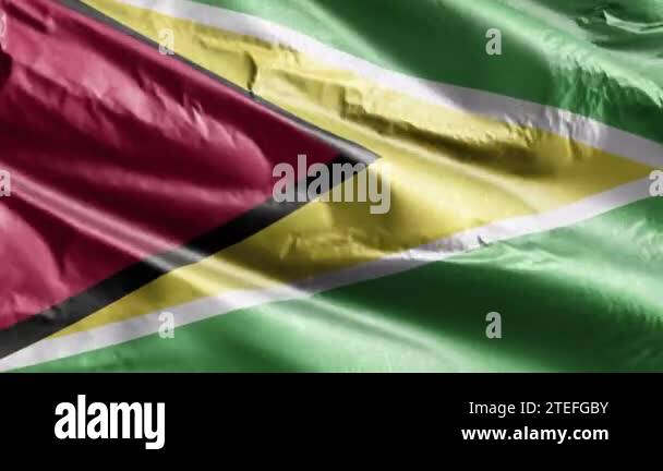 Guyana textile flag waving on the wind loop. Guyanese banner swaying on ...