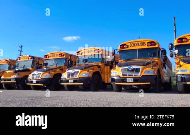 Toronto, Ontario, Canada, 10 July, 2022: Row of yellow school buses ...