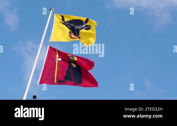 Glarus flag design Stock Videos & Footage - HD and 4K Video Clips - Alamy