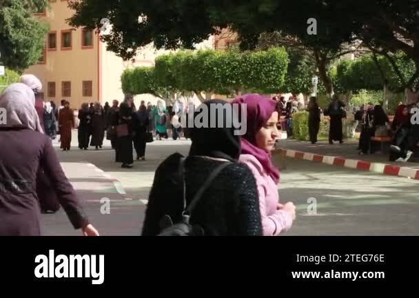 Female students at the Islamic University of Gaza in Gaza City, West ...