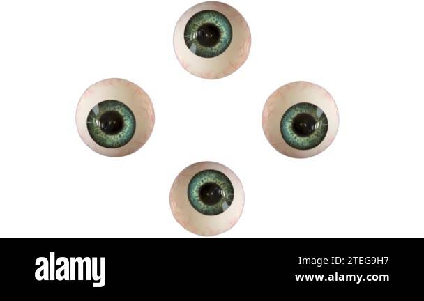 Funny Animation Four Eye Balls Reactions - Cartoon Eyes Animation on ...