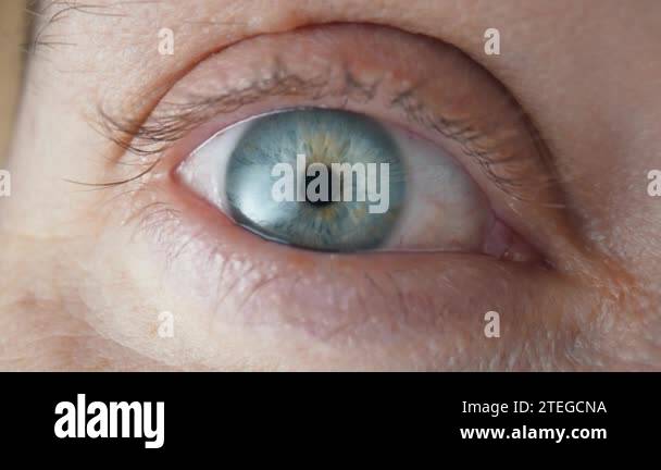 Beautiful male eye with blue iris and retina. The man opens his eyes ...