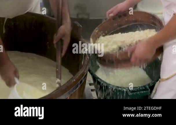 Handmade process production mozzarella cheese making manually cheese ...