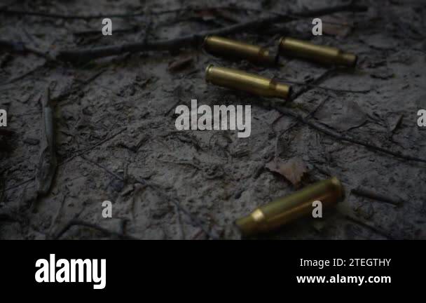 Forest bullet Stock Videos & Footage - HD and 4K Video Clips - Alamy