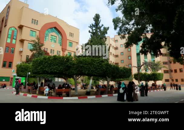 Female students at the Islamic University of Gaza in Gaza City, West ...