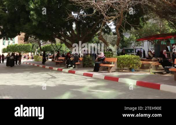 Female students at the Islamic University of Gaza in Gaza City, West ...