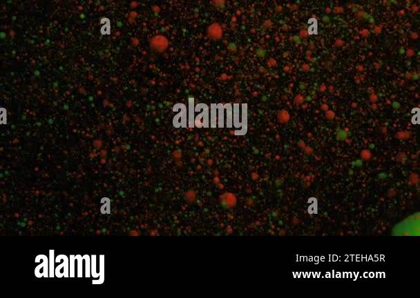 Orange and green volumetric fluorescent particles move and change on a ...