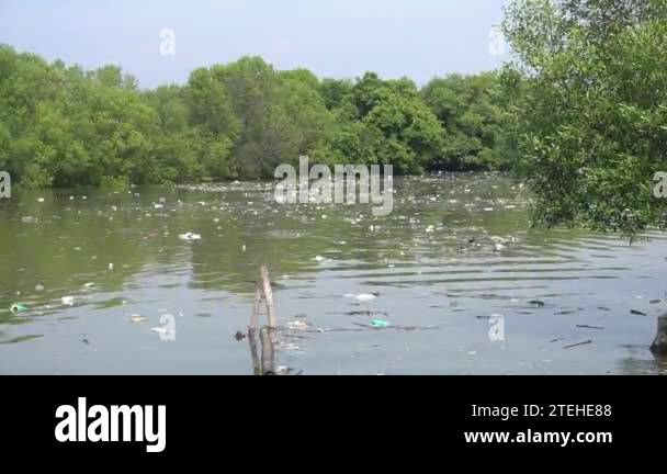 Environment issue Stock Videos & Footage - HD and 4K Video Clips - Alamy