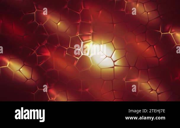 Hexagonal cell texture Stock Videos & Footage - HD and 4K Video Clips ...