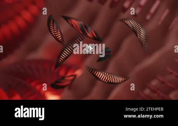 Abstract 3d art looping animation, 3d graphics, photo realistic render ...