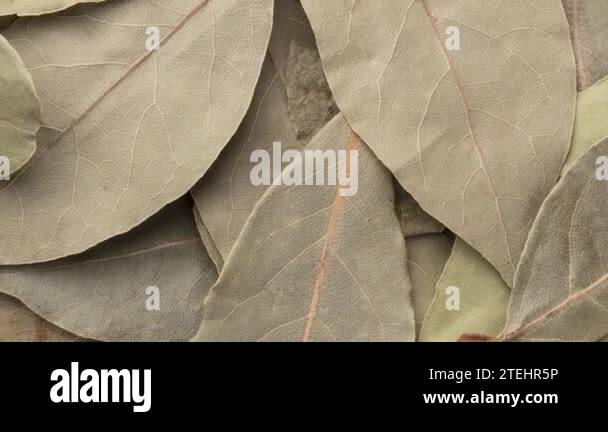 Dried bay leaves texture Stock Videos & Footage - HD and 4K Video Clips ...