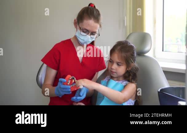 Oral hygiene lesson of jaw anatomical model for child in dentistry 4k ...