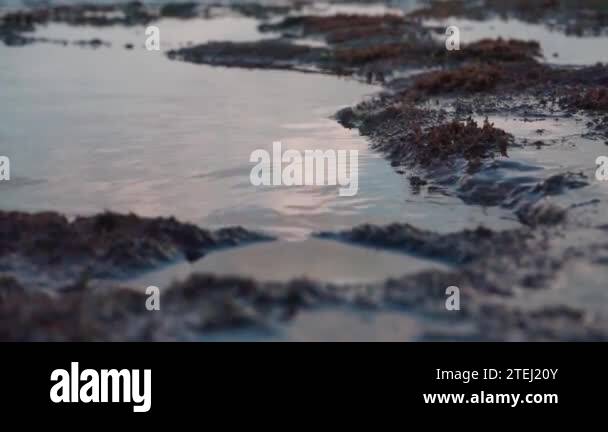 water stream from sea wave back to the sea on the coral. surface of the ...