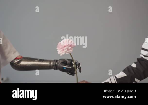 Midsection slowmo shot of unrecognizable woman taking beautiful pink ...