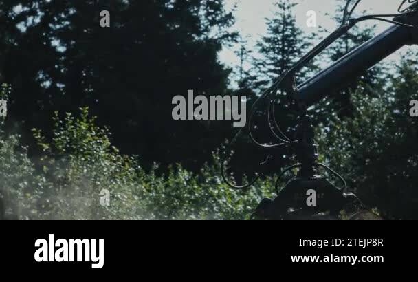 Collecting wood in the forest. Heavy Machinery deals with wooden ...