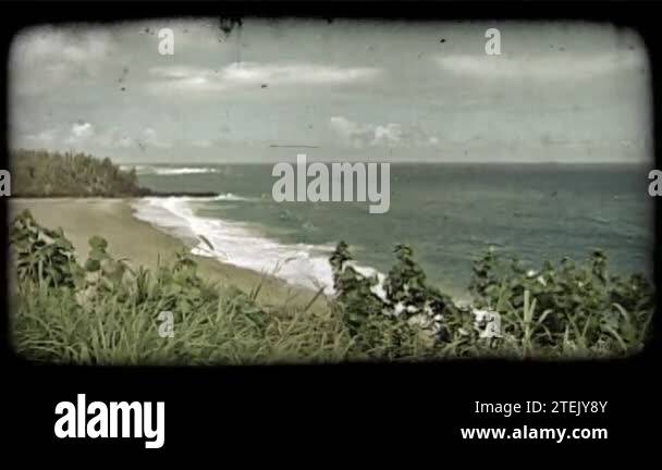 Secluded beach scene, with green plants in foreground, and soft waves ...
