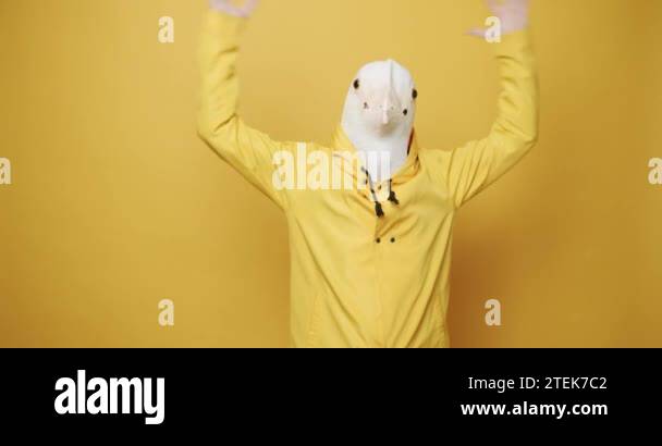 Confused guy with a pigeon mask puts his hands on his head. Fools Day ...