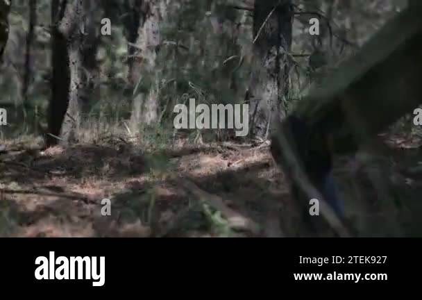 Soviet subversive detachment runing through the forest World war II ...