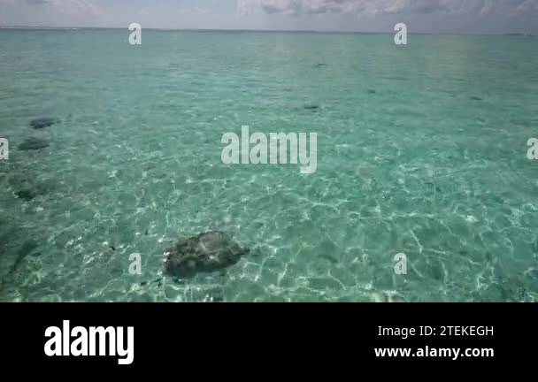 Maldives islands. Water surface texture, Slow motion looping clean ...