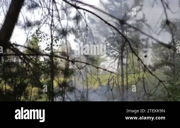 Two German soldier struck by explosion. World war II. The ...