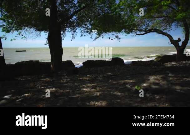 Taganrog sea Stock Videos & Footage - HD and 4K Video Clips - Alamy