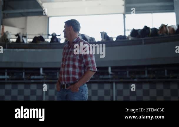Livestock expert inspecting milking carousel standing alone in dairy ...