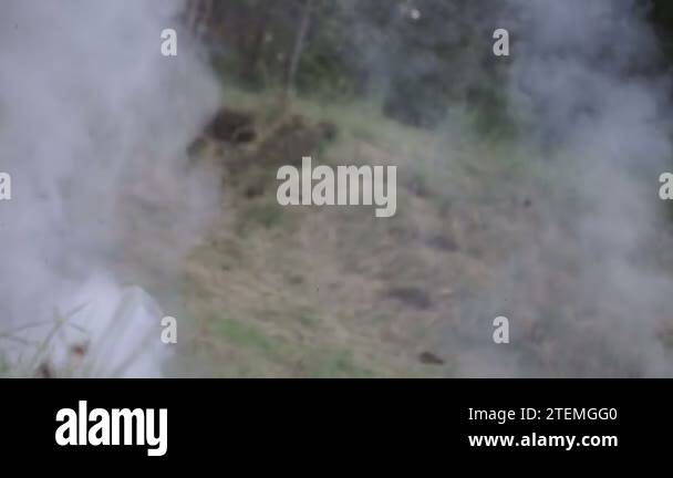 Soviet subversive detachment runing through the forest World war II ...