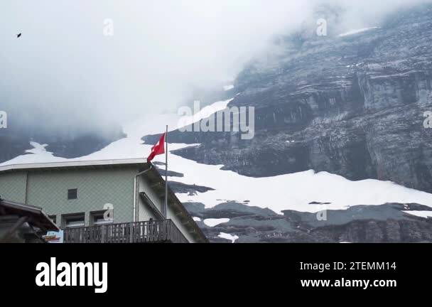 Swiss Flag waving dramatically with birds flying in slow motion at ...