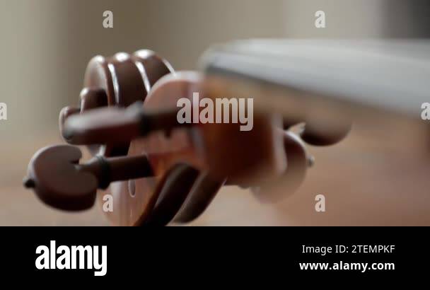 Neck violin Stock Videos & Footage - HD and 4K Video Clips - Alamy