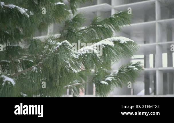 Falling snow slow motion Stock Videos & Footage - HD and 4K Video Clips ...