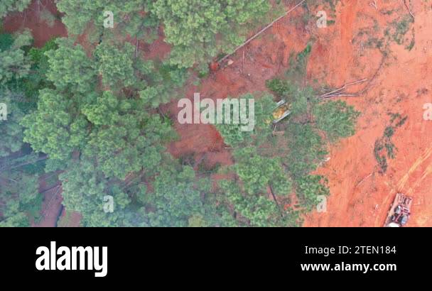 Deforestation dozers for deforestation and preparing land for ...