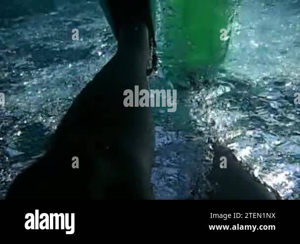 Flipper flippers Stock Videos & Footage - HD and 4K Video Clips - Alamy