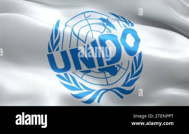 UNIDO logo. National 3d United Nations Industrial Development ...