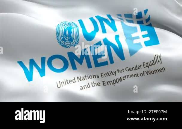 United Nations Entity Gender Equality and Empowerment of Women logo ...