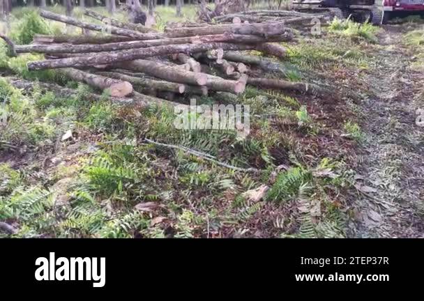 Perak, Malaysia. February 8,2022: Grabber excavator hydraulic machine ...