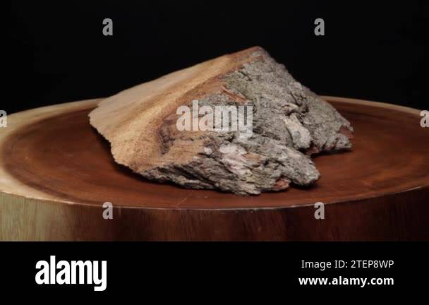 Structure of a stump fibre and bark from a saw cut tree trunk. Plant ...